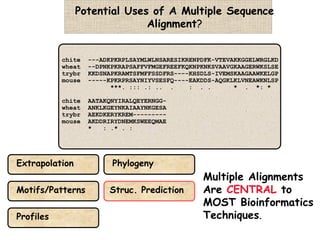 Bioinformatics database tool for protein sequence | PPTX
