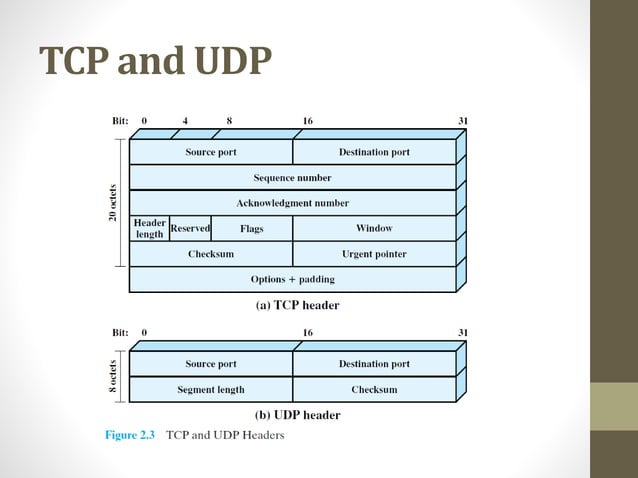 TCP/IP Protocols | PPTX | Computer Networking | Computing