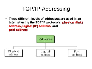 TCP IP Addressing | PPT