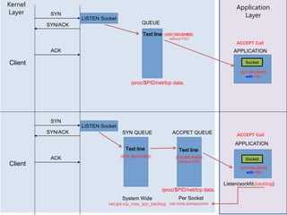 Tcp summary | PPT