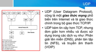 Phân biện TCP và UDP | PPTX