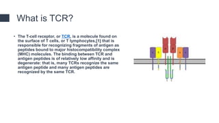 Tcr | PPTX