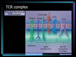 Tcr development and evaluation | PPT