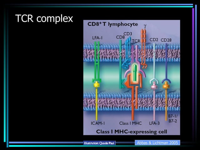 Tcr development and evaluation | PPT