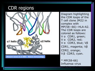 Tcr development and evaluation | PPT