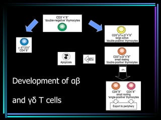 Tcr development and evaluation | PPT
