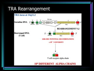 Tcr development and evaluation | PPT
