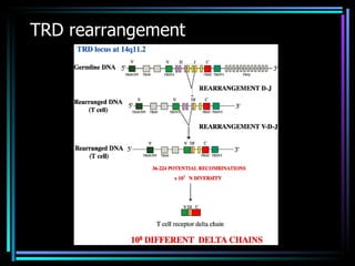 Tcr development and evaluation | PPT