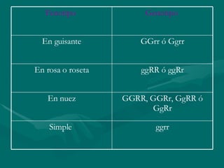 Genética & Variabilidad | PPT