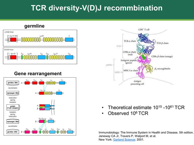 Predictive Features of TCR Repertoire | PPTX