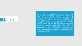 TCR technology | PPT