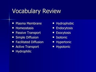 Plasma Membrane | PPT
