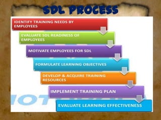 Training & Development | PPTX | Business | Business and Finance