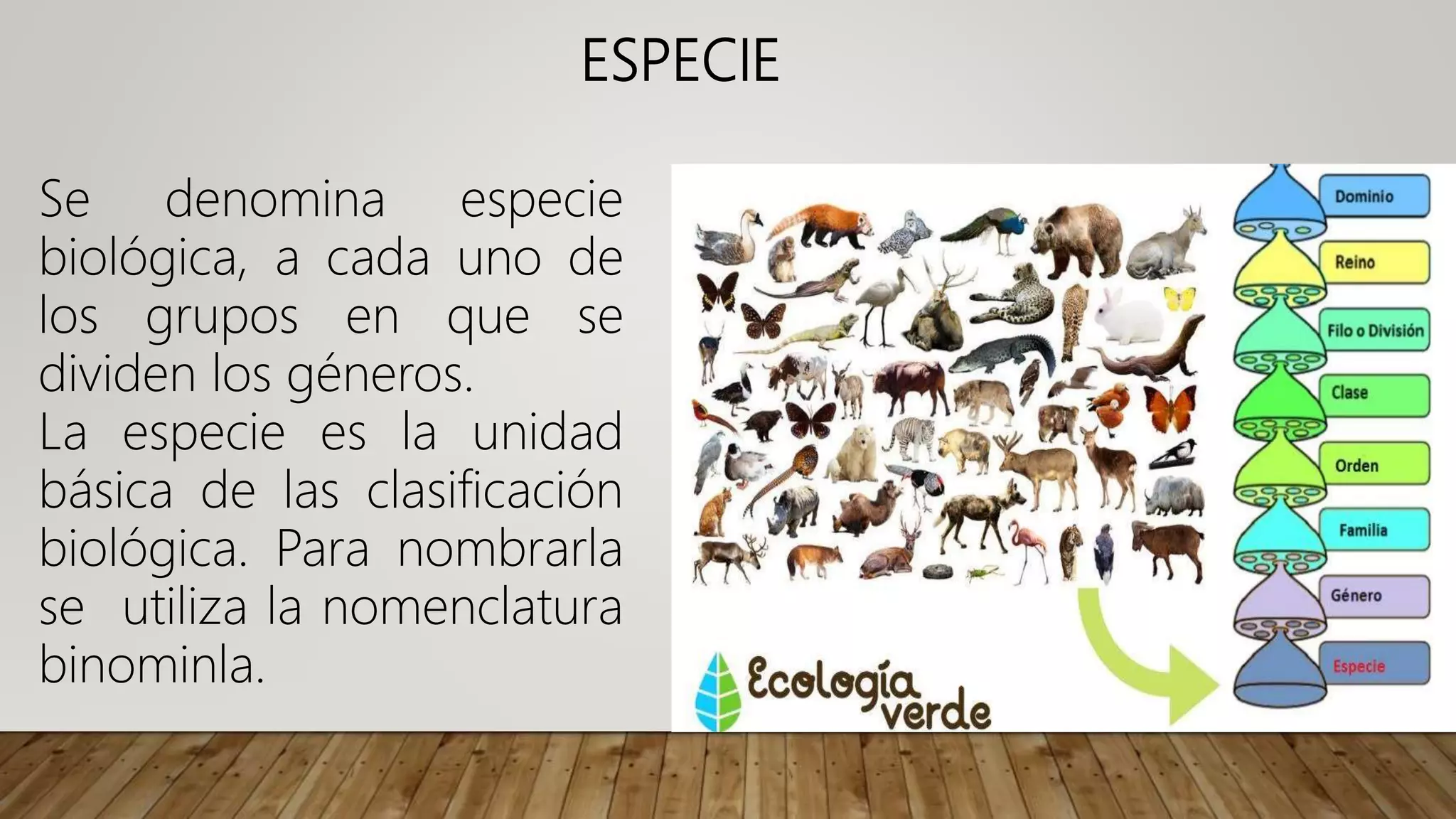 Especie Biologica