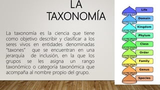 Categorías taxonómicas | PPTX