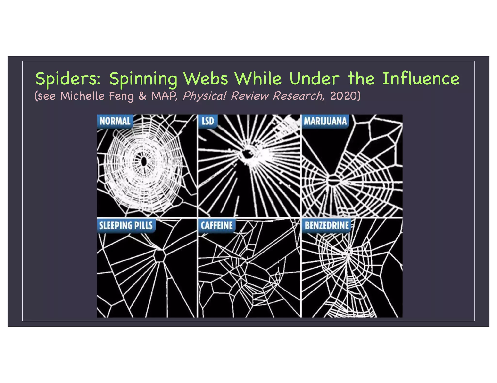 Introduction to Topological Data Analysis | PDF
