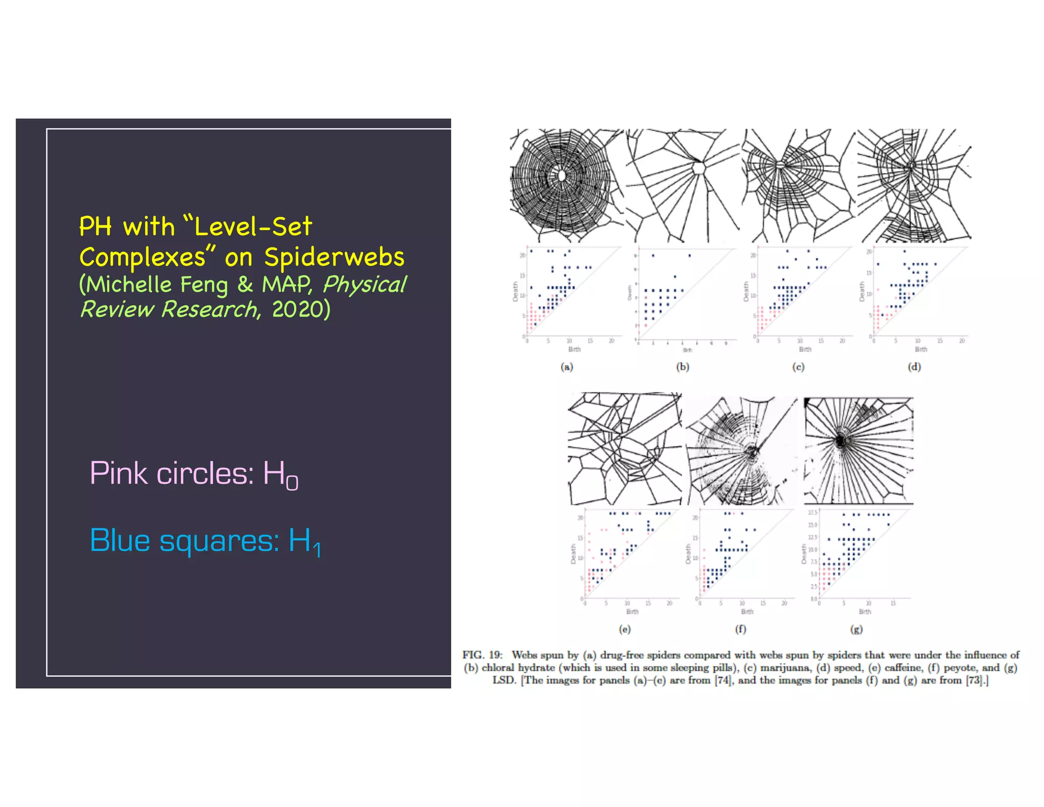 Introduction to Topological Data Analysis | PDF