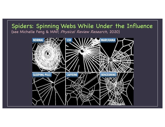 Introduction to Topological Data Analysis | PDF