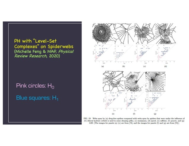 Introduction to Topological Data Analysis | PDF