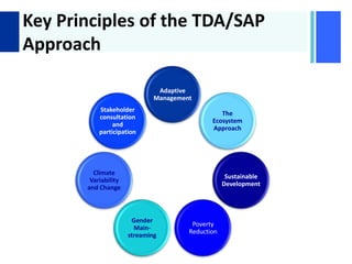 TDA/SAP Methodology Training Course Module 1 Section 3 | PPT