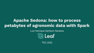 Apache Sedona: how to process petabytes of agronomic data with Spark | PPT