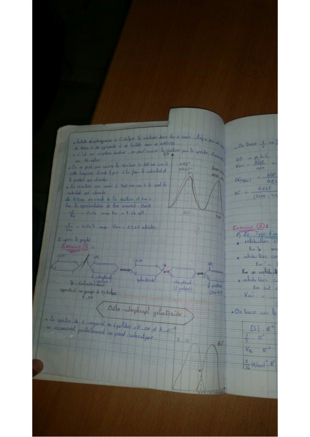 TD corrigé enzymologie SV4 pdf | PDF