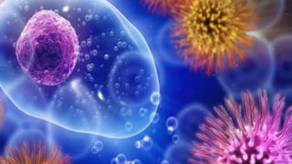 Tdd with-python-and-django | PPT