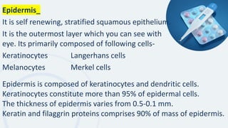 Transdermal Drug Delivery Systems: Structure of Skin & Barriers | PDF