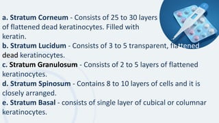 Transdermal Drug Delivery Systems: Structure of Skin & Barriers | PDF
