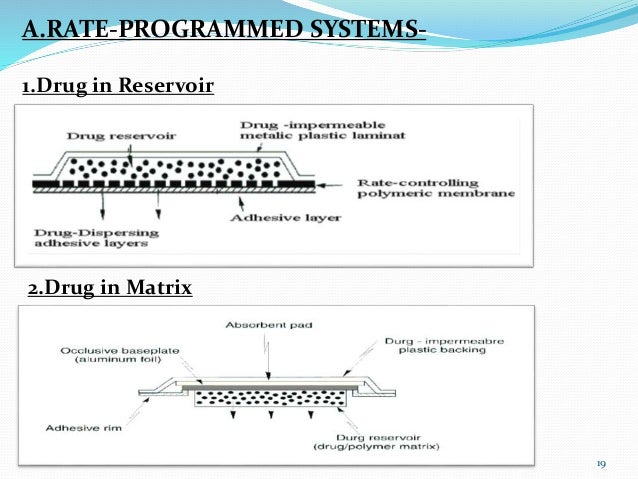 Transdermal drug delivery system