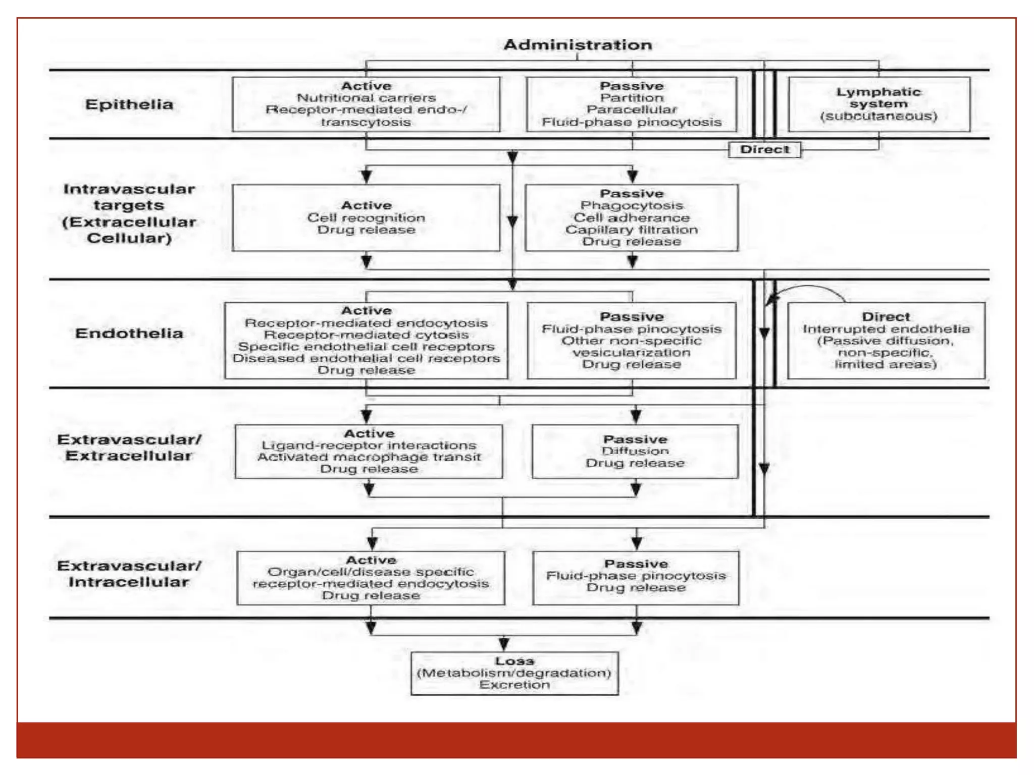 Targeted Drug Delivery Systems | PDF