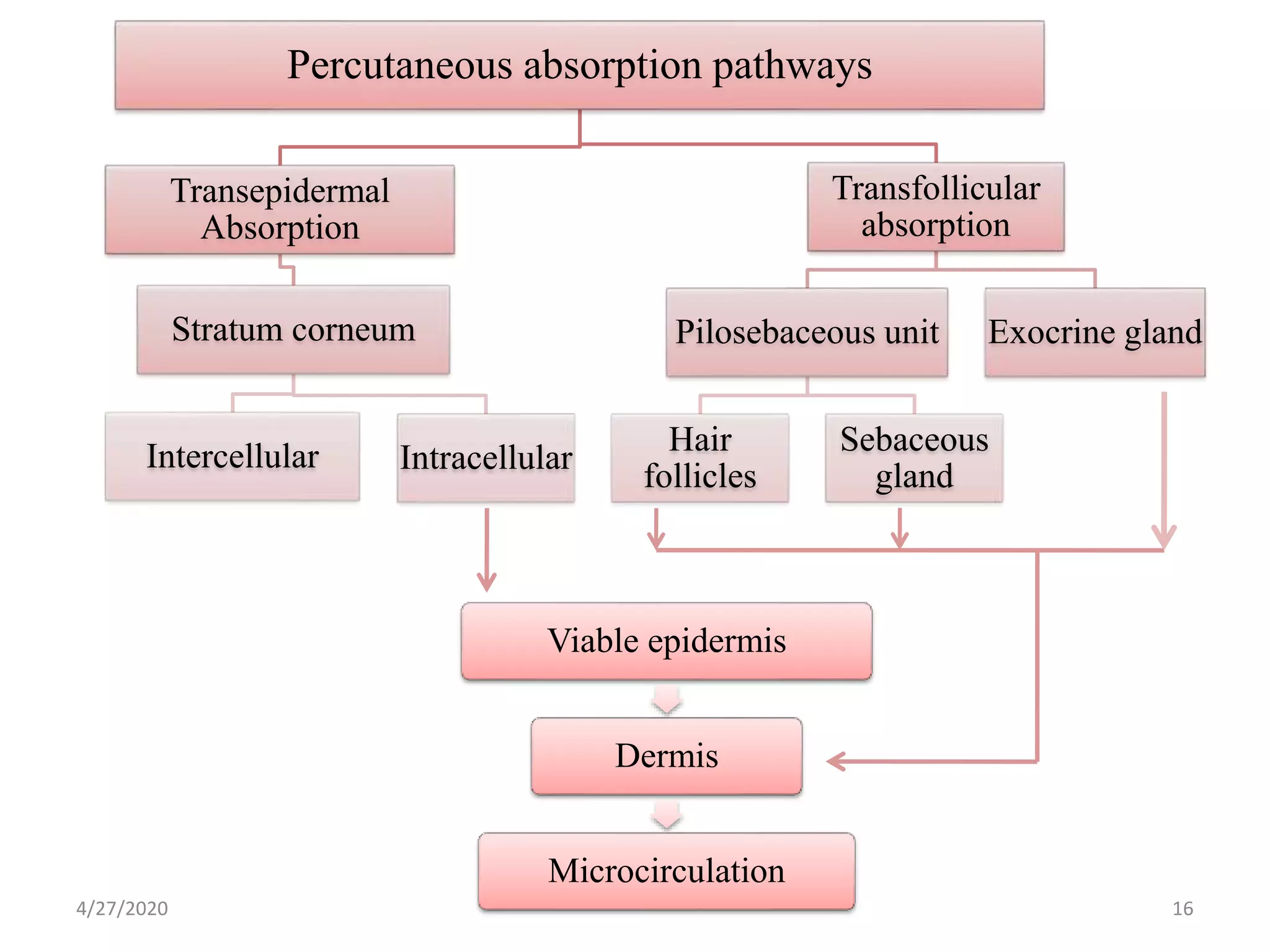 Introduction of Transdermal Drug Delivery System (TDDS) | PPTX