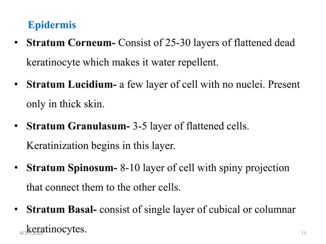 Introduction of Transdermal Drug Delivery System (TDDS) | PPTX | Skin ...