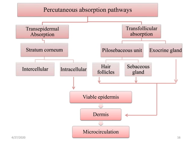 Introduction of Transdermal Drug Delivery System (TDDS) | PPTX | Skin ...