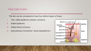 Trans Dermal Drug Delivery System Prasad Katare 02 | PPT
