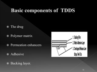 TDDS | PPT