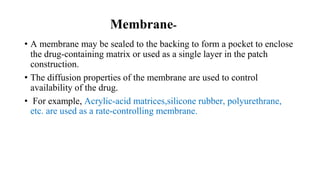 TDDS components | PPTX