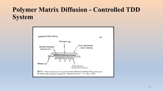 Transdermal Drug delivery Study | PPT