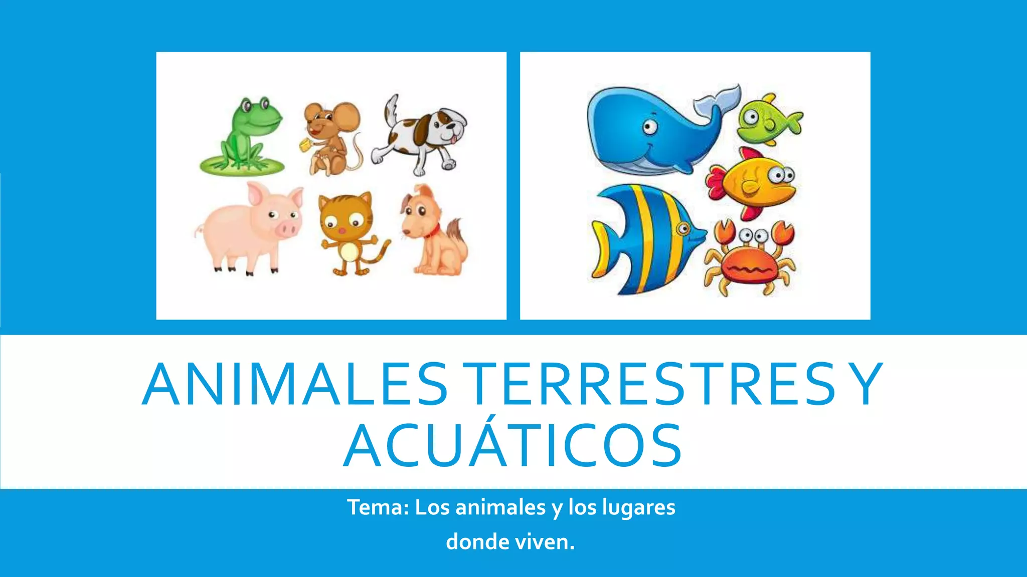 animales terrestres y acuaticos | PPT