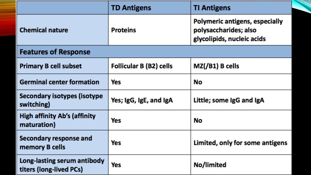 T dependent and t independent antigens T dependent and t independent antigens