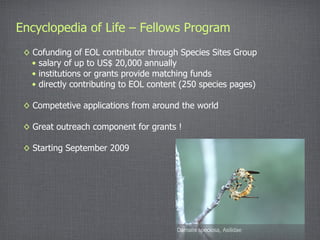 Tdikow Heteroptera Eol Talk | PPT