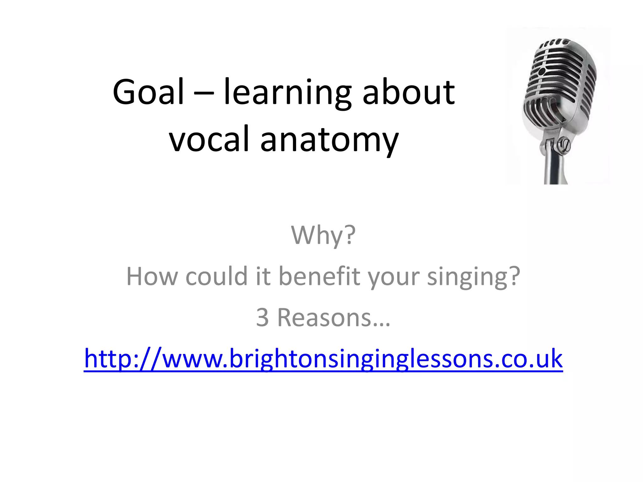 Vocal Anatomy | PPTX