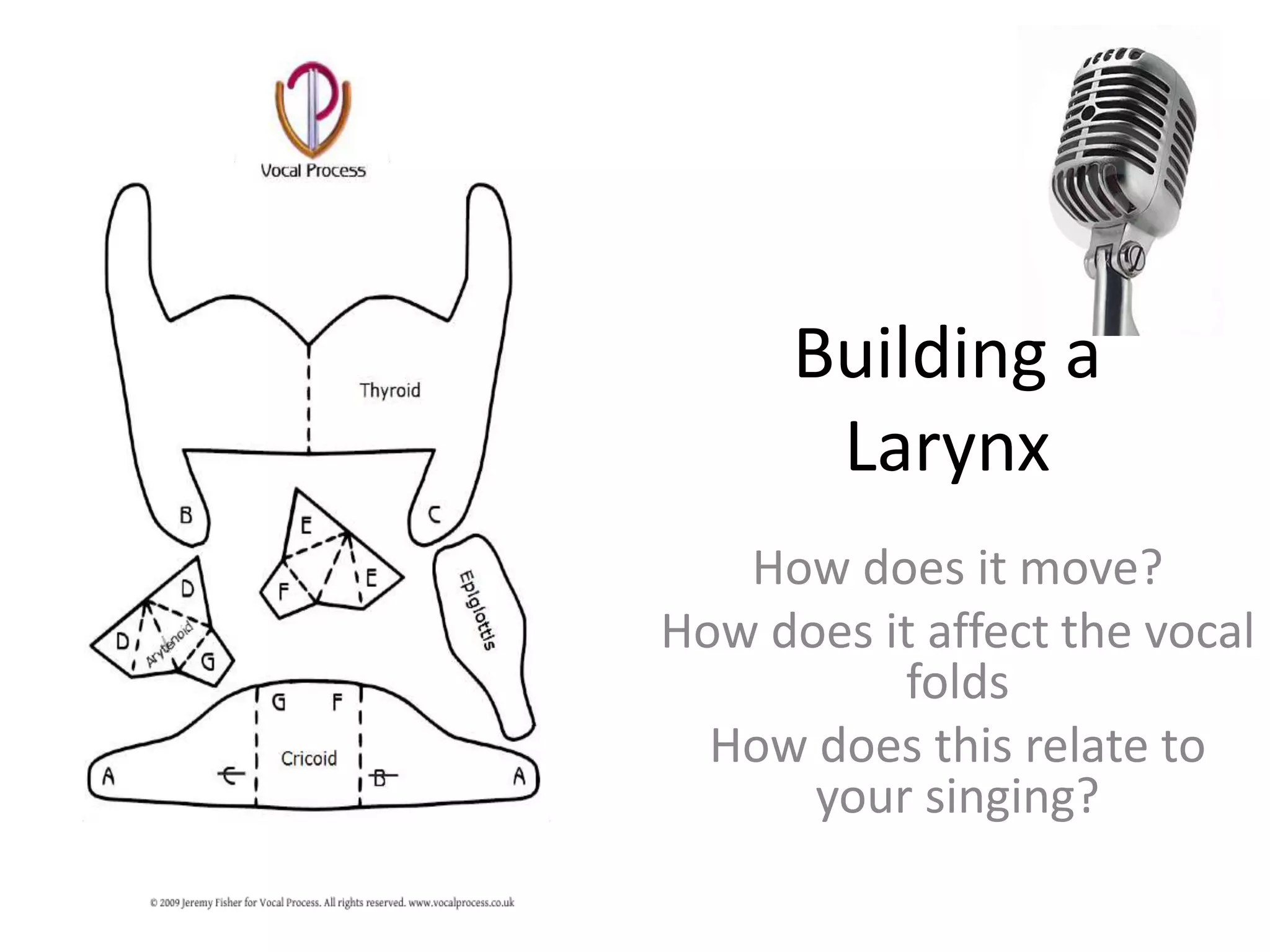 Vocal Anatomy | PPTX