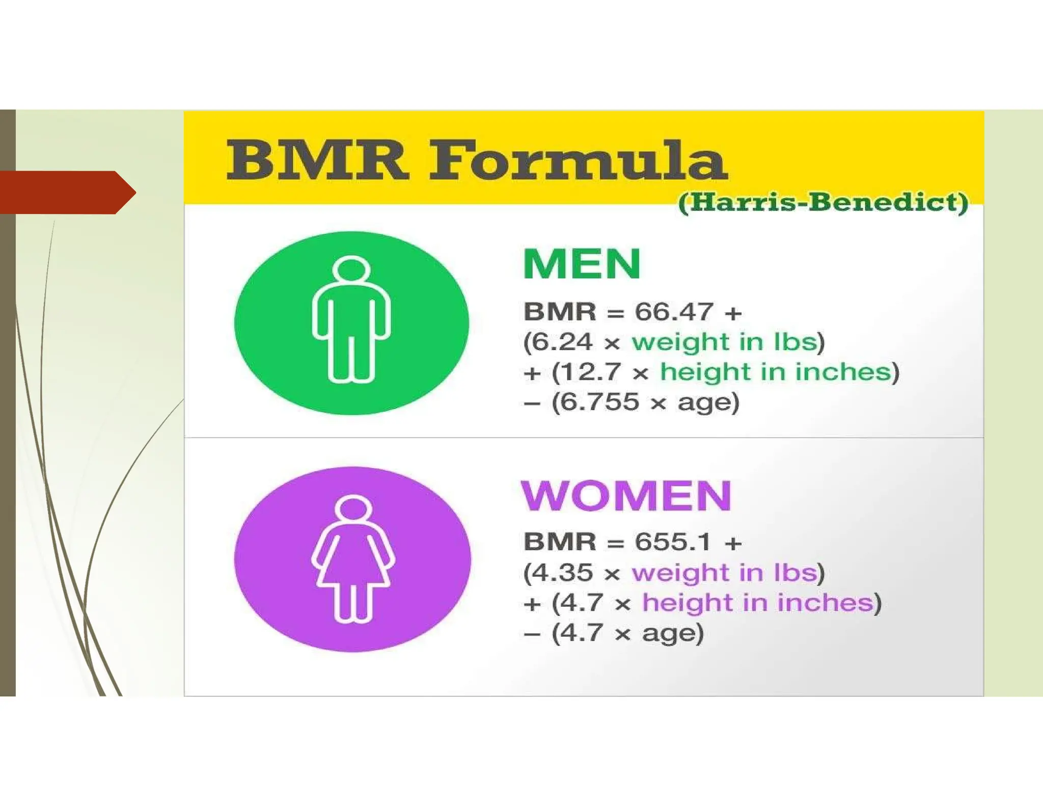 TDM and drug-dose calculation.pdf