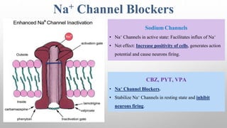 TDM Antiepileptic Tan.pptx