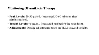 Optimizing Amikacin Therapy: A Comprehensive Guide to Therapeutic Drug ...