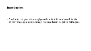 Optimizing Amikacin Therapy: A Comprehensive Guide to Therapeutic Drug ...
