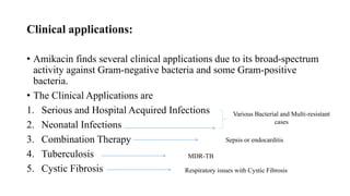 Optimizing Amikacin Therapy: A Comprehensive Guide to Therapeutic Drug ...