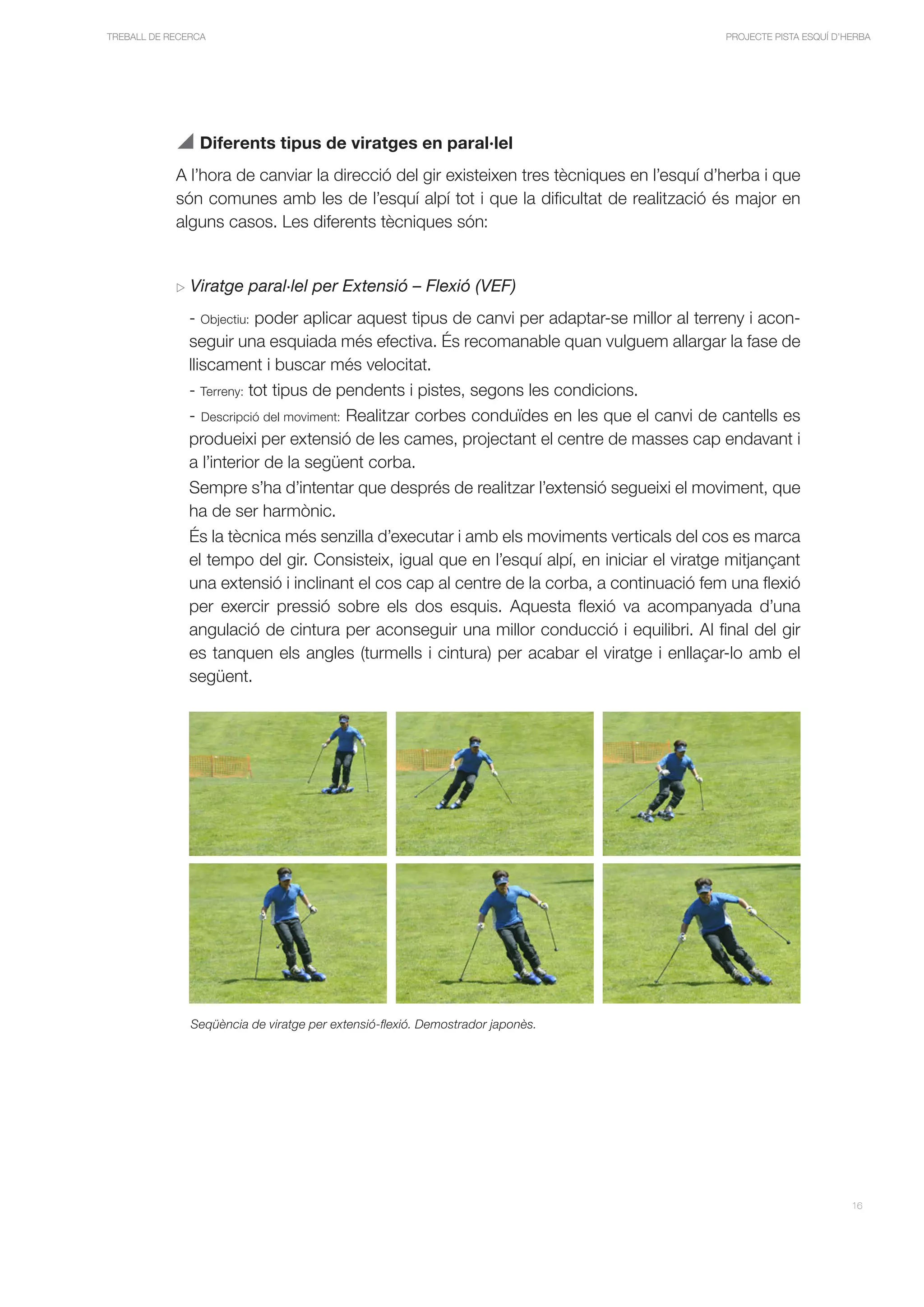 Grass ski slope project | PDF