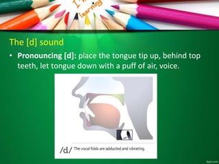 /t/, /d/ and "th" sound | PPTX